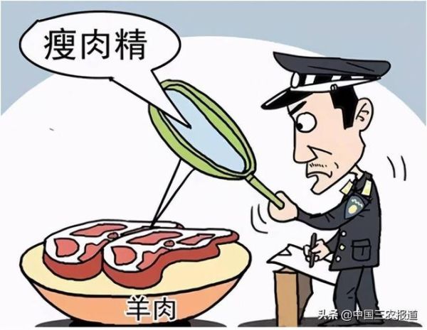 瘦肉精是什么_瘦肉精对人体有哪些危害-第3张图片-山城妙识 瘦肉精是什么_瘦肉精对人体有哪些危害-第3张图片-山城妙识