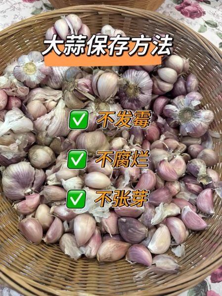 蒜蓉怎么做才香_蒜蓉保存多久不变色-第1张图片-山城妙识