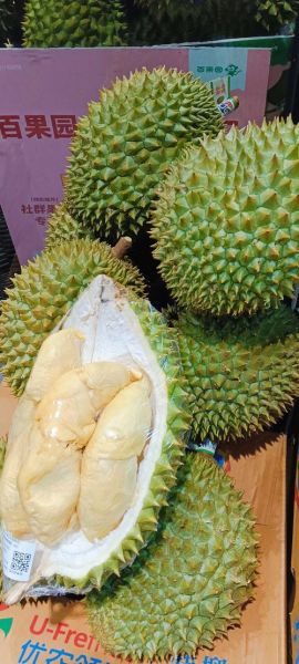 榴莲app旧版本安装教程_旧版本还能用吗-第3张图片-山城妙识 榴莲app旧版本安装教程_旧版本还能用吗-第3张图片-山城妙识