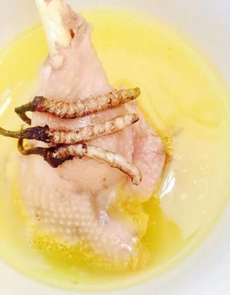 钟南山谈冬虫夏草功效真假_冬虫夏草怎么吃才有效-第3张图片-山城妙识