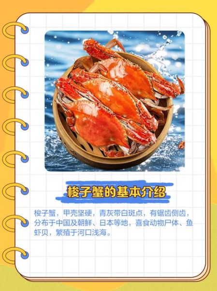 梭子蟹的功效与禁忌_什么人不能吃梭子蟹-第3张图片-山城妙识 梭子蟹的功效与禁忌_什么人不能吃梭子蟹-第3张图片-山城妙识