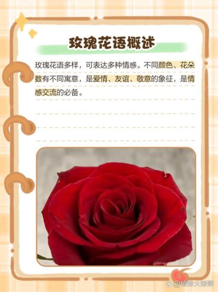 玫瑰花怎么养_玫瑰花语大全-第3张图片-山城妙识