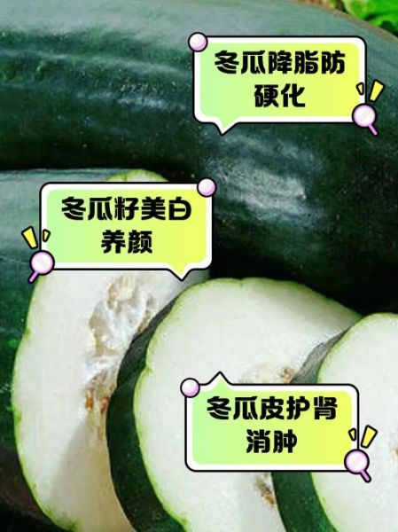 冬瓜的功效与作用禁忌_冬瓜怎么吃最健康-第2张图片-山城妙识 冬瓜的功效与作用禁忌_冬瓜怎么吃最健康-第2张图片-山城妙识