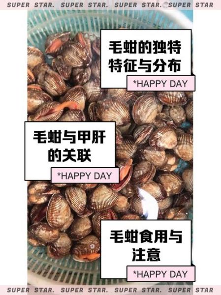 血蚶怎么清洗_血蚶和毛蚶的区别-第2张图片-山城妙识