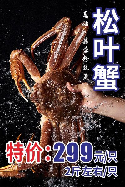 松叶蟹多少钱一斤_松叶蟹价格为什么差异大-第1张图片-山城妙识
