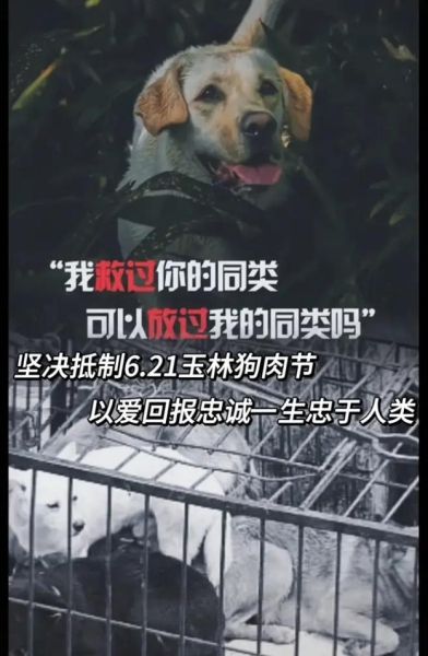 玉林狗肉节取消了吗_中央政策解读-第1张图片-山城妙识