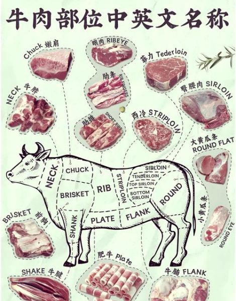 牛肉部位分割图怎么看_牛身上哪个部位最嫩-第2张图片-山城妙识