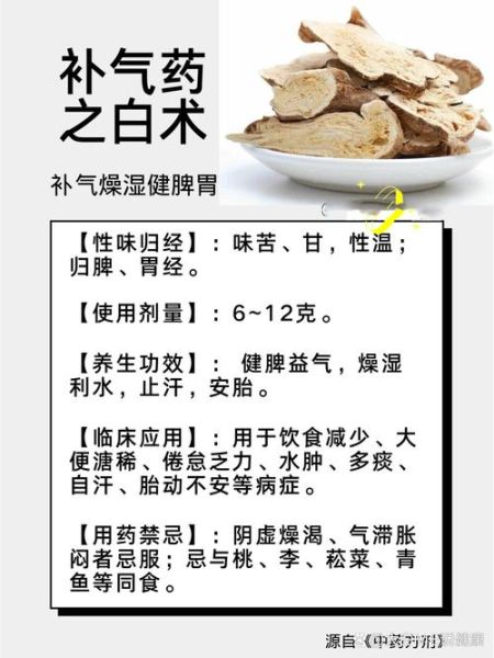 白术的功效与作用及用量_白术一天吃多少克合适-第1张图片-山城妙识 白术的功效与作用及用量_白术一天吃多少克合适-第1张图片-山城妙识
