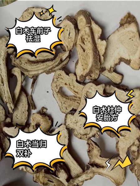 白术的功效与作用及用量_白术一天吃多少克合适-第3张图片-山城妙识 白术的功效与作用及用量_白术一天吃多少克合适-第3张图片-山城妙识