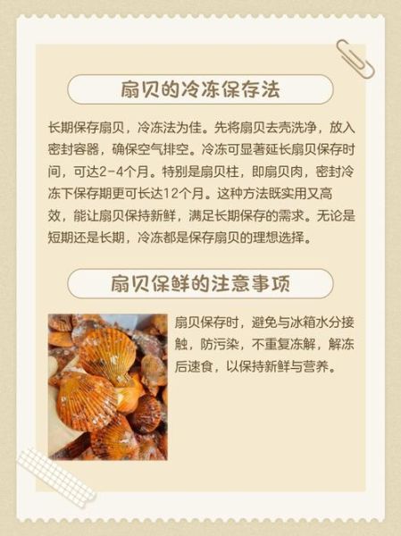 带壳扇贝怎么清洗_带壳扇贝蒸多久才熟-第1张图片-山城妙识 带壳扇贝怎么清洗_带壳扇贝蒸多久才熟-第1张图片-山城妙识