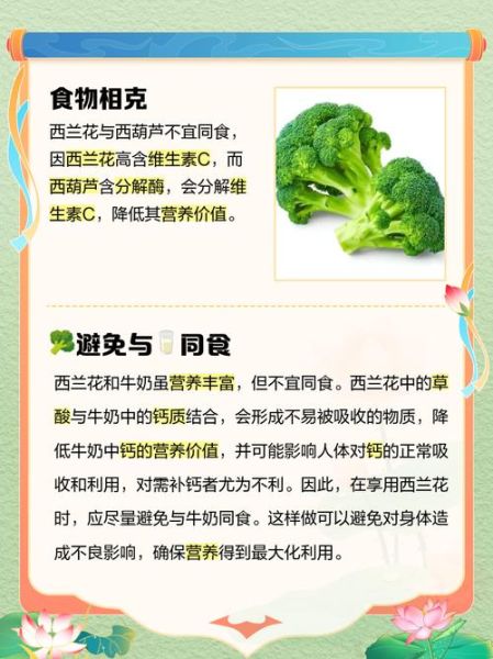 西兰花不适合什么人吃_痛风患者能吃吗-第2张图片-山城妙识
