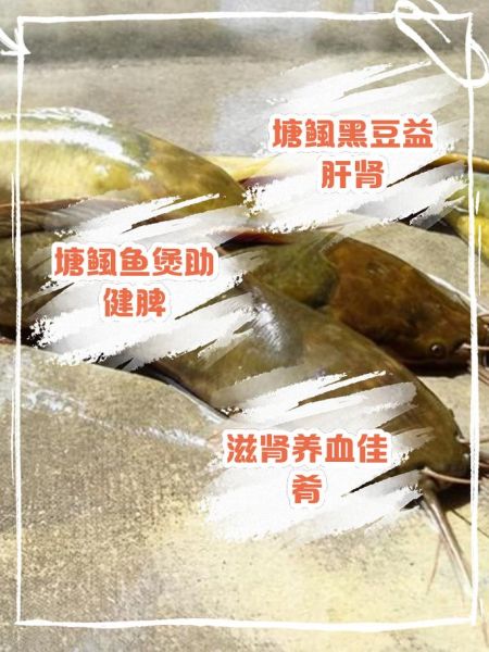 塘虱鱼汤的功效与作用_塘虱鱼汤适合什么人喝-第1张图片-山城妙识