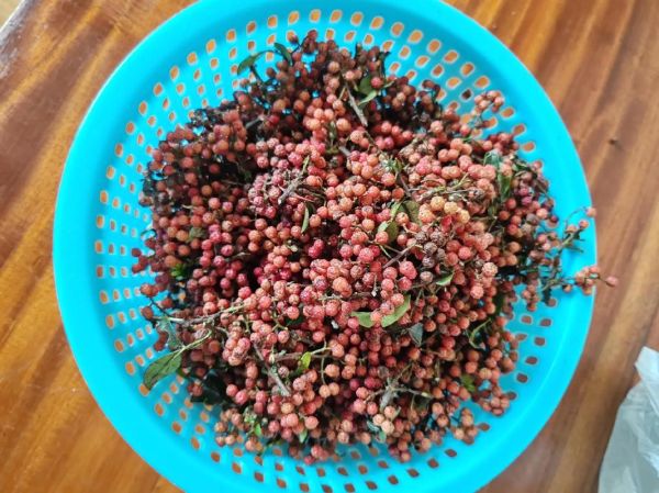 腌制辣椒怎么做_腌制辣椒可以放多久-第3张图片-山城妙识