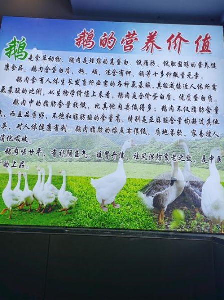 大鹅文化是什么_大鹅文化如何影响年轻人-第1张图片-山城妙识