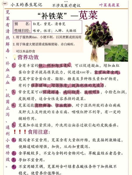苋菜怎么做好吃_苋菜有哪些营养价值-第1张图片-山城妙识