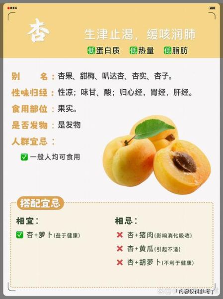 杏子不能和什么一起吃_杏子的禁忌有哪些-第1张图片-山城妙识