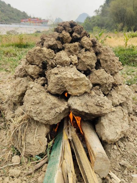 洪七公叫花鸡的来历_为什么叫叫花鸡-第1张图片-山城妙识