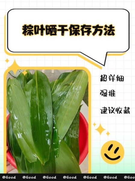 干粽叶怎么煮后不易裂开_干粽叶煮前泡多久合适-第1张图片-山城妙识
