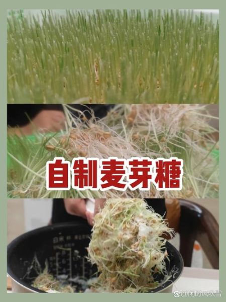 白砂糖做麦芽糖怎么做_家庭简易步骤-第1张图片-山城妙识 白砂糖做麦芽糖怎么做_家庭简易步骤-第1张图片-山城妙识