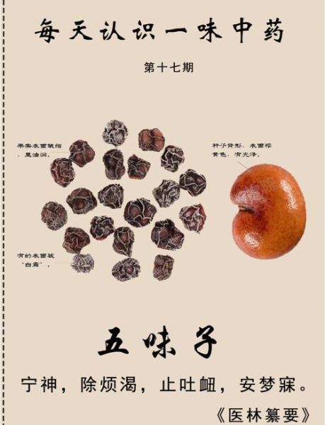 南五味子的功效与作用_南五味子怎么吃效果最好-第1张图片-山城妙识