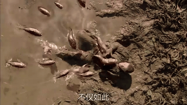 乌鱼影视网在线观看怎么找资源_乌鱼影视网最新地址是多少-第1张图片-山城妙识