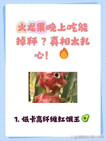 火龙果有什么功效_火龙果能减肥吗-第2张图片-山城妙识 火龙果有什么功效_火龙果能减肥吗-第2张图片-山城妙识