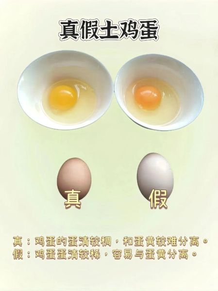 土鸡蛋和草鸡蛋的区别_哪个营养价值更高-第1张图片-山城妙识 土鸡蛋和草鸡蛋的区别_哪个营养价值更高-第1张图片-山城妙识