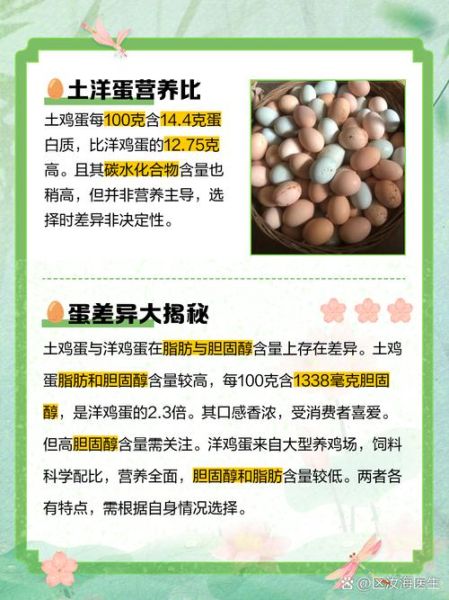 土鸡蛋和草鸡蛋的区别_哪个营养价值更高-第2张图片-山城妙识 土鸡蛋和草鸡蛋的区别_哪个营养价值更高-第2张图片-山城妙识