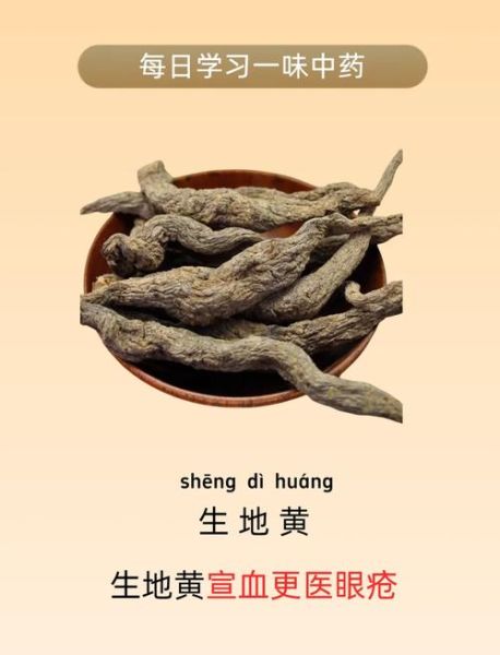 生地的功效与作用有哪些_生地主治什么病-第2张图片-山城妙识