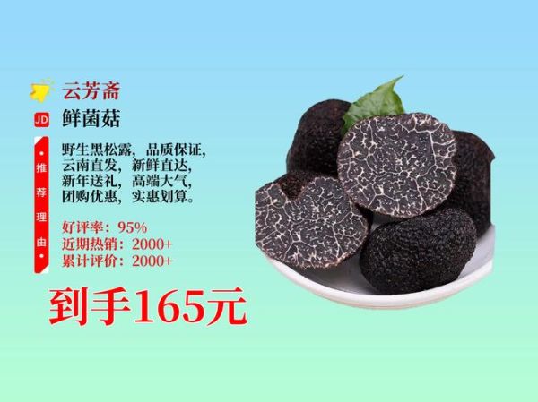 松露多少钱一斤_松露为什么这么贵-第2张图片-山城妙识