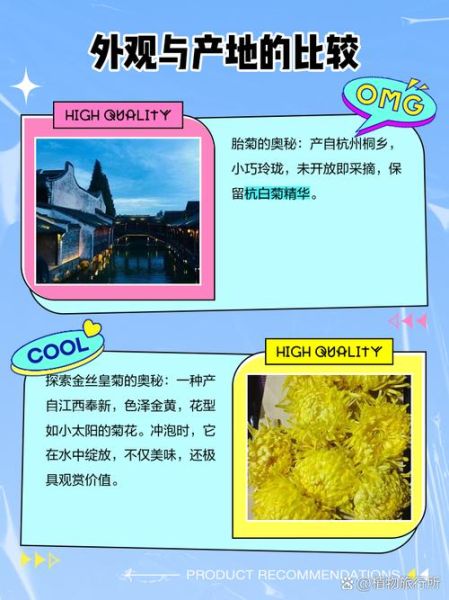 金丝皇菊和胎菊哪个好_功效区别与选购指南-第1张图片-山城妙识