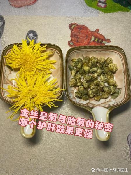 金丝皇菊和胎菊哪个好_功效区别与选购指南-第3张图片-山城妙识