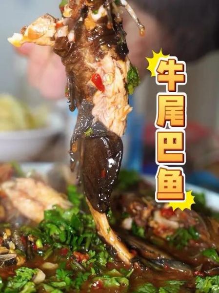 牛尾巴鱼怎么做好吃_牛尾巴鱼做法大全-第3张图片-山城妙识