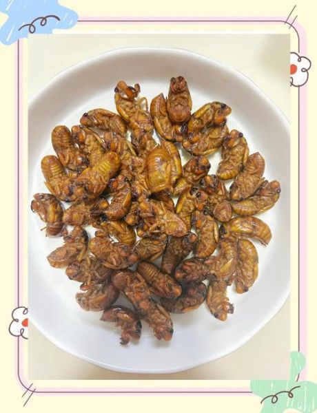 炒知了猴怎么做_知了猴怎么炒才酥脆-第1张图片-山城妙识 炒知了猴怎么做_知了猴怎么炒才酥脆-第1张图片-山城妙识