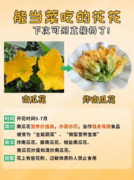 南瓜花可以吃吗_南瓜花怎么吃才安全-第1张图片-山城妙识 南瓜花可以吃吗_南瓜花怎么吃才安全-第1张图片-山城妙识