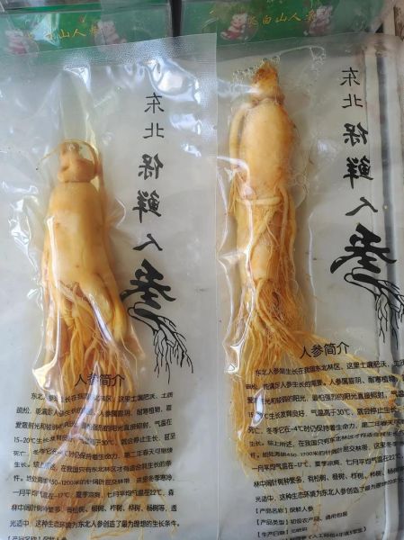 东北人参多少钱一斤_东北人参价格表2024最新行情-第1张图片-山城妙识 东北人参多少钱一斤_东北人参价格表2024最新行情-第1张图片-山城妙识
