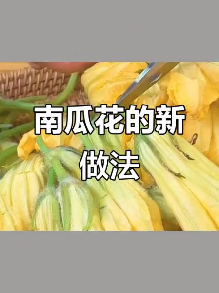 南瓜花可以吃吗_南瓜花怎么吃才安全-第3张图片-山城妙识 南瓜花可以吃吗_南瓜花怎么吃才安全-第3张图片-山城妙识