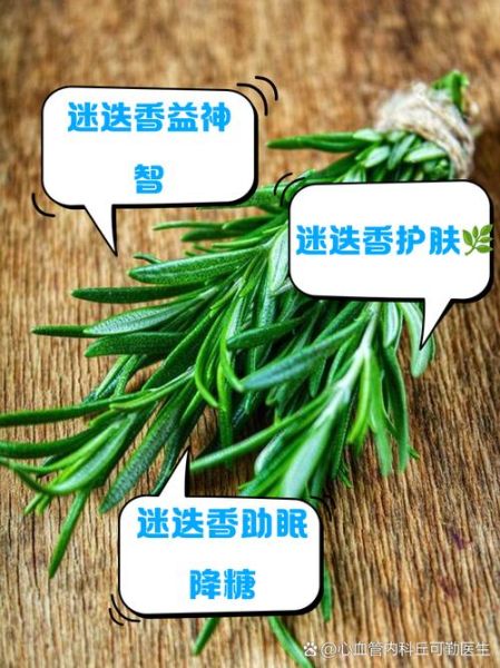 迷迭香的功效与作用_迷迭香使用禁忌有哪些-第1张图片-山城妙识