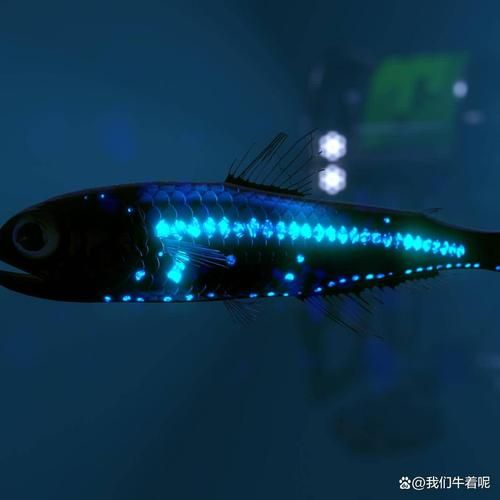 深海鱼类有哪些_深海鱼常见品种-第1张图片-山城妙识