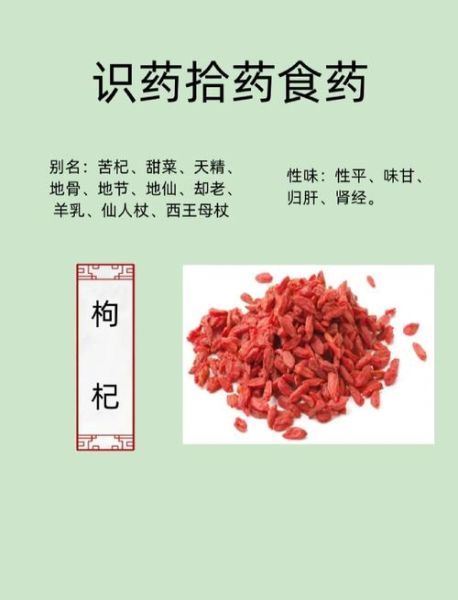 枸杞的功效与作用禁忌_哪些人不适合吃-第3张图片-山城妙识 枸杞的功效与作用禁忌_哪些人不适合吃-第3张图片-山城妙识