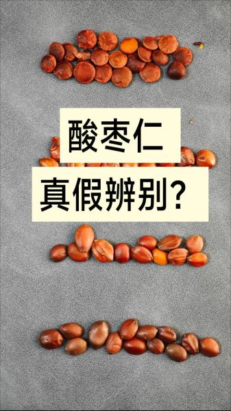 中草药图片大全大图_如何辨别真假药材-第3张图片-山城妙识