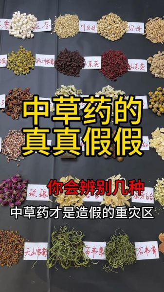 中草药图片大全大图_如何辨别真假药材-第1张图片-山城妙识