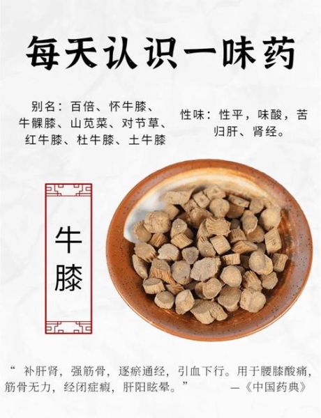 怀牛膝的功效与作用及禁忌_怀牛膝什么人不能吃-第1张图片-山城妙识 怀牛膝的功效与作用及禁忌_怀牛膝什么人不能吃-第1张图片-山城妙识