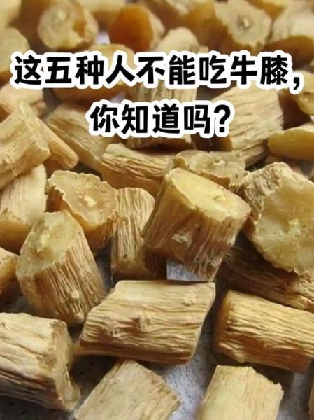 怀牛膝的功效与作用及禁忌_怀牛膝什么人不能吃-第2张图片-山城妙识 怀牛膝的功效与作用及禁忌_怀牛膝什么人不能吃-第2张图片-山城妙识