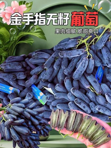 金手指葡萄好吃吗_金手指葡萄多少钱一斤-第2张图片-山城妙识