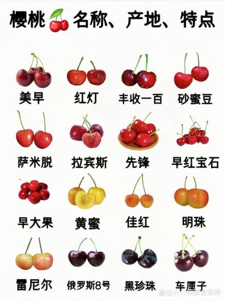十大樱桃排名前十名_哪个品种最甜-第1张图片-山城妙识