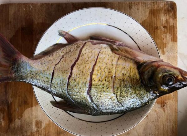 武昌鱼吃什么食物_武昌鱼吃什么长得快-第3张图片-山城妙识