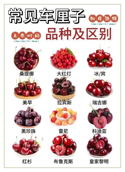十大樱桃排名前十名_哪个品种最甜-第2张图片-山城妙识
