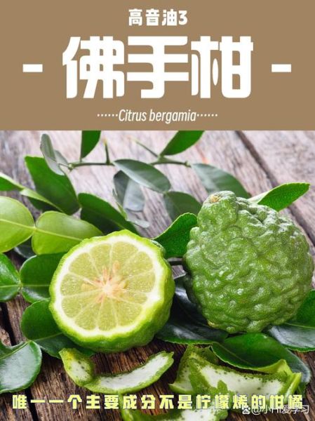 佛手柑红茶的功效与作用_佛手柑红茶适合什么人喝-第3张图片-山城妙识 佛手柑红茶的功效与作用_佛手柑红茶适合什么人喝-第3张图片-山城妙识