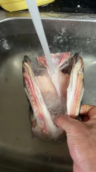 胖头鱼怎么做好吃_胖头鱼做法视频教程-第2张图片-山城妙识 胖头鱼怎么做好吃_胖头鱼做法视频教程-第2张图片-山城妙识